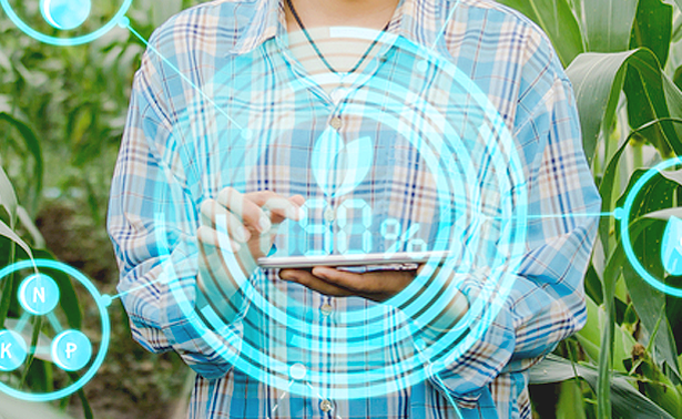 Signify Ltd — Measurement Standards Laboratory