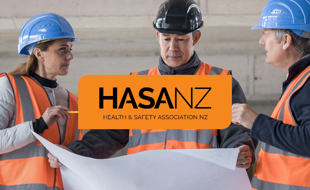 Signify Ltd — HASANZ